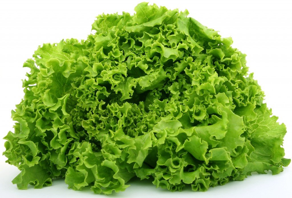 Make your kitchen raw food friendly with these 6 food items! - Radiant ...